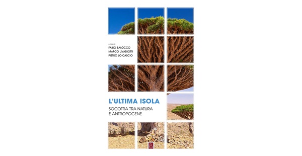 L’ultima isola. Socotra tra natura e antropocene | RIF | Museo delle Periferie
